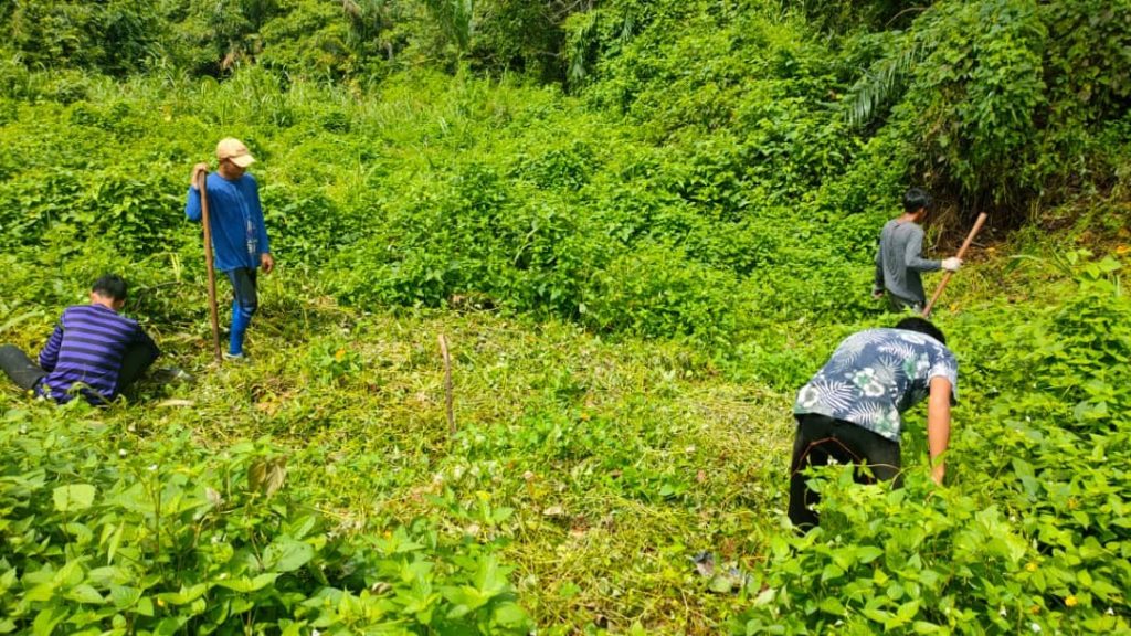 Forest Restoration at Silabukan Forest Reserve - Rhino and Forest Fund